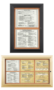 Outdoor Menu Case Illuminated For 11x14 Menus | Restaurant Displays ...