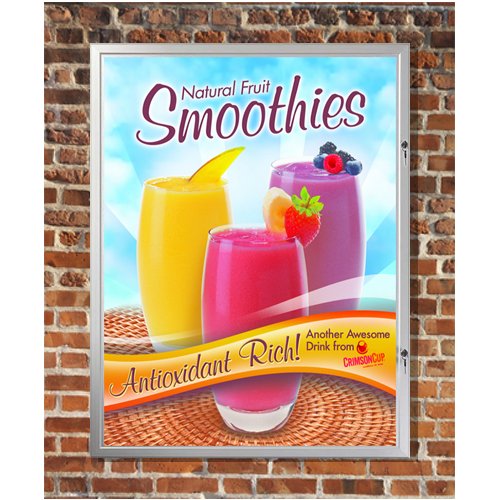 Weatherproof Outdoor Poster Display Frame 36 x 48 | XL Locking Frame ...